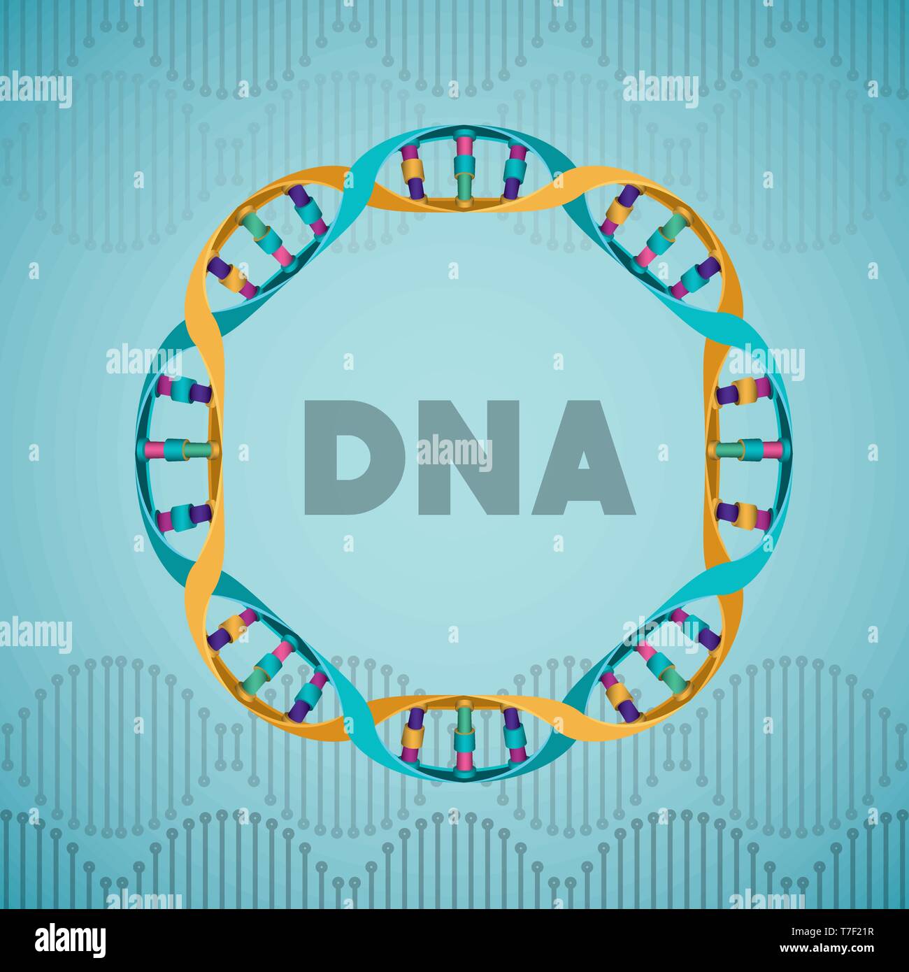 dna molecule circular structure Stock Vector Image & Art - Alamy