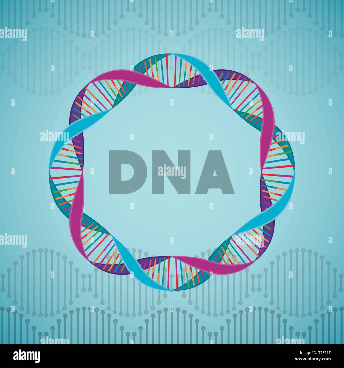 dna molecule circular structure Stock Vector Image & Art - Alamy