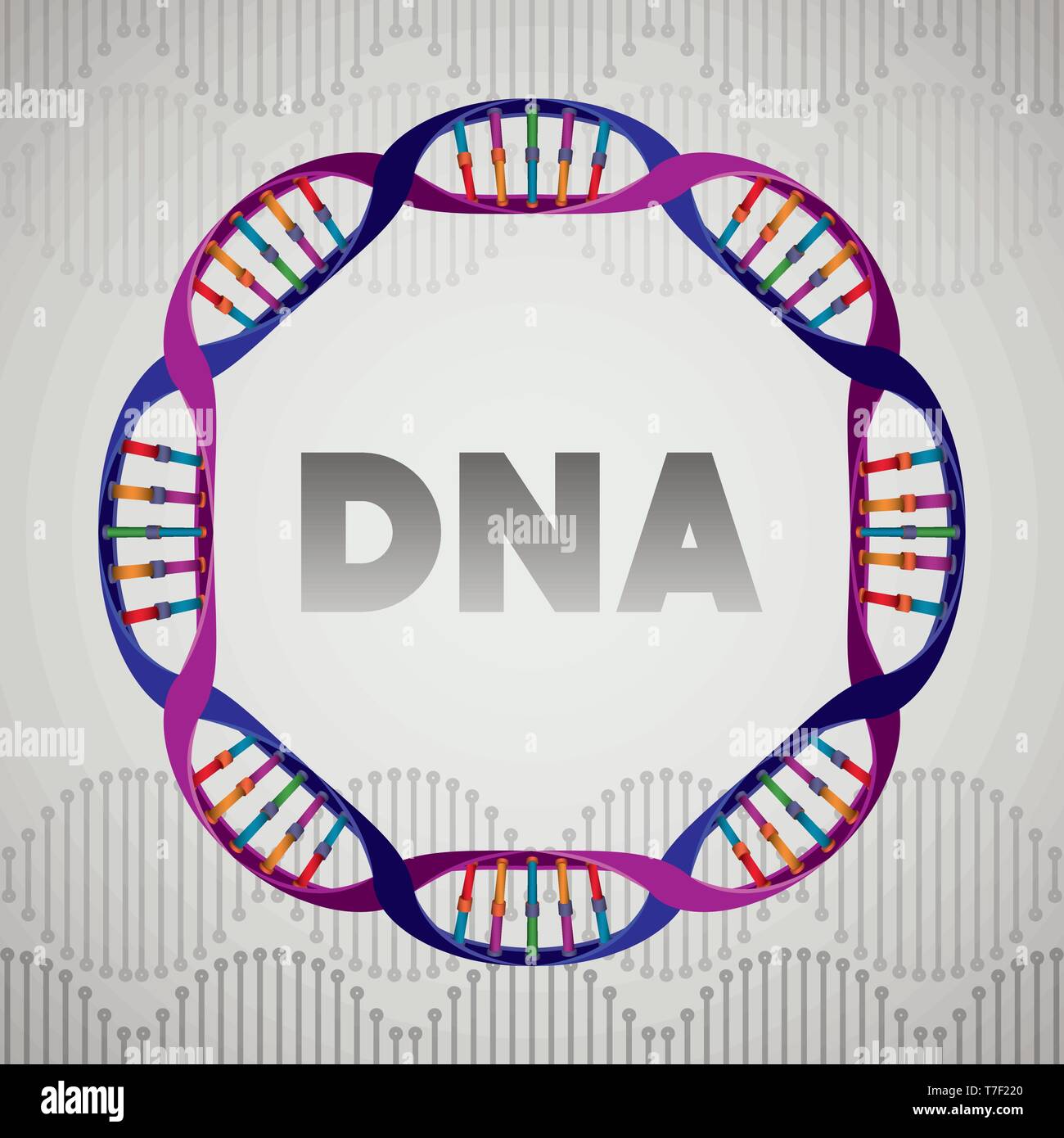 dna molecule circular structure Stock Vector Image & Art - Alamy