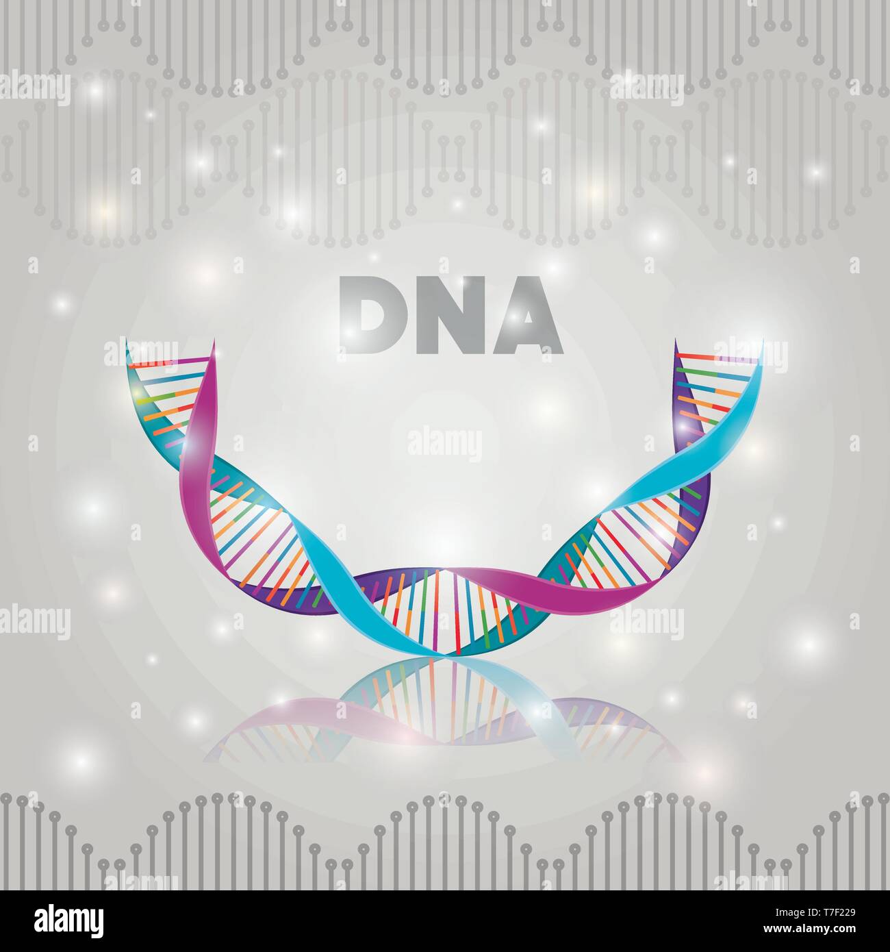 dna molecule half circle structure pattern Stock Vector Image & Art - Alamy
