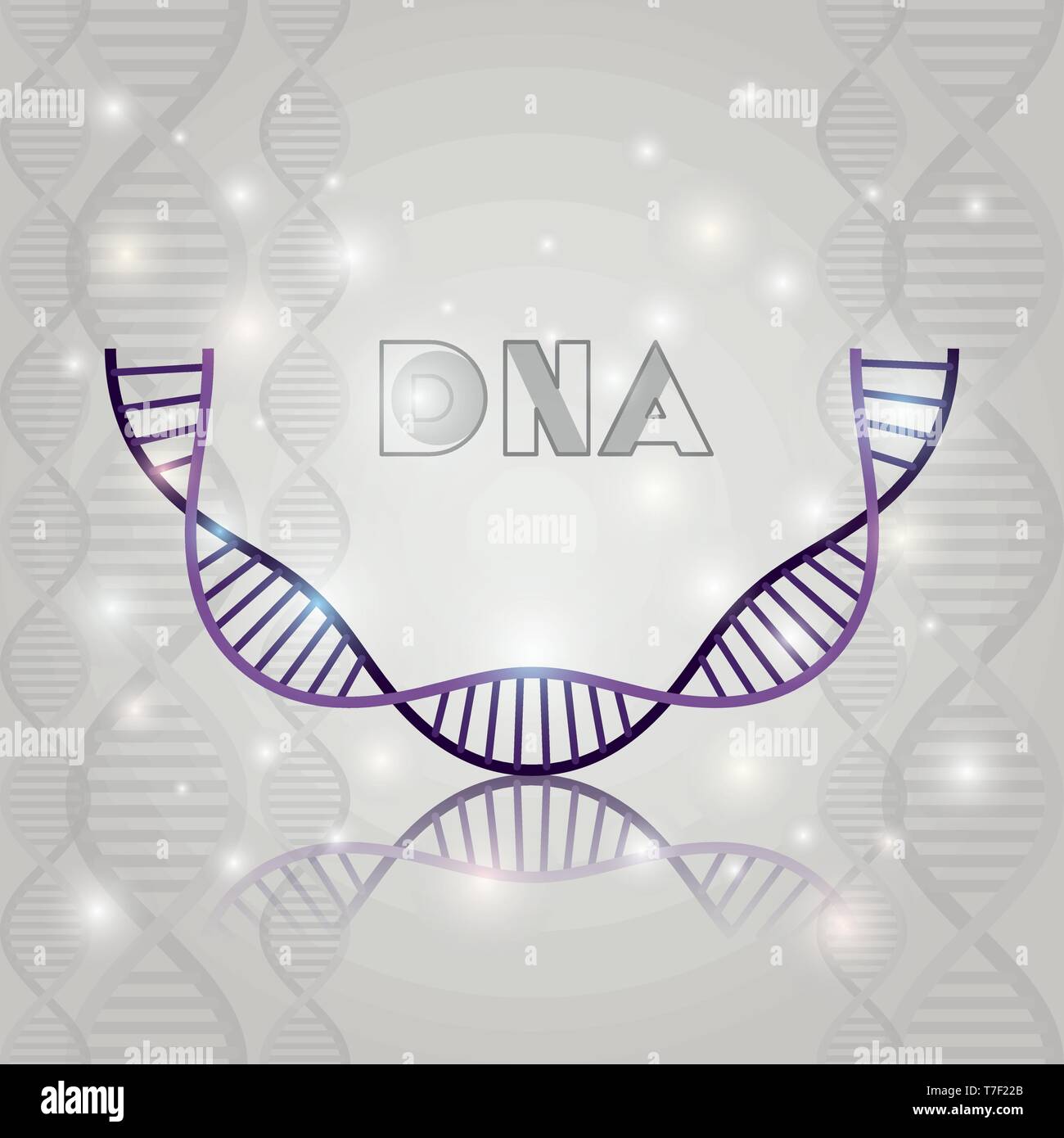 dna molecule half circle structure pattern Stock Vector Image & Art - Alamy