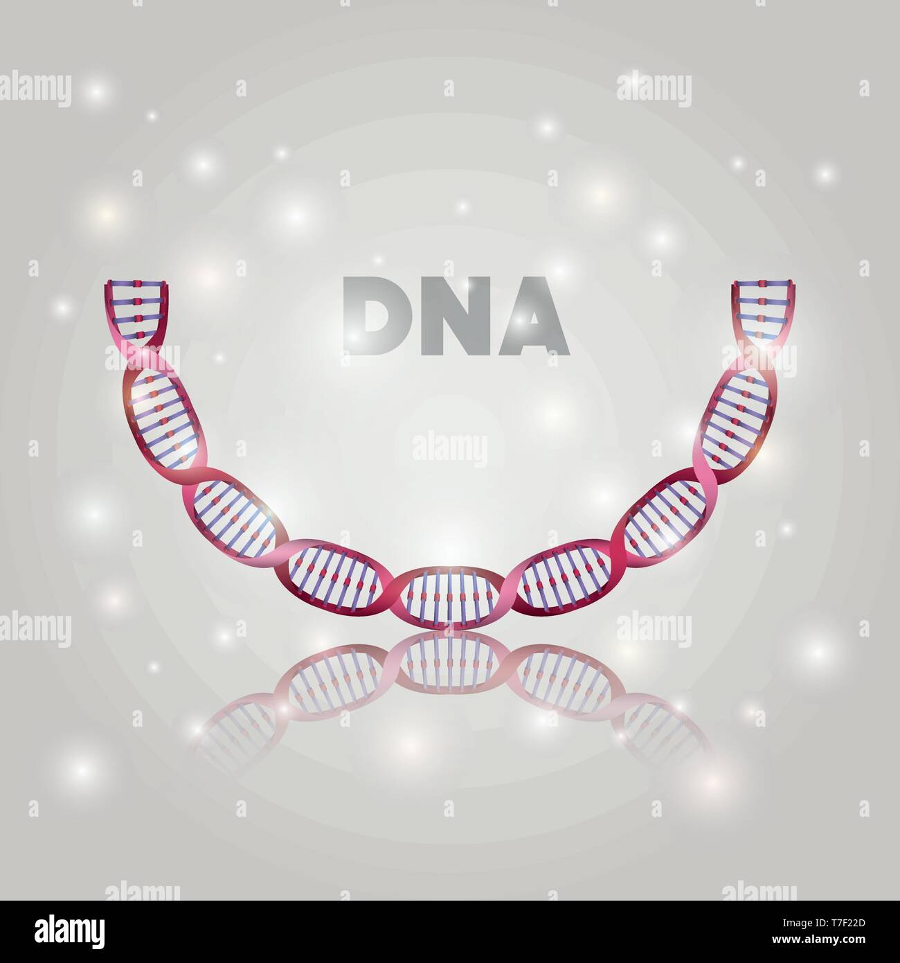 dna molecule half circle structure pattern Stock Vector Image & Art - Alamy