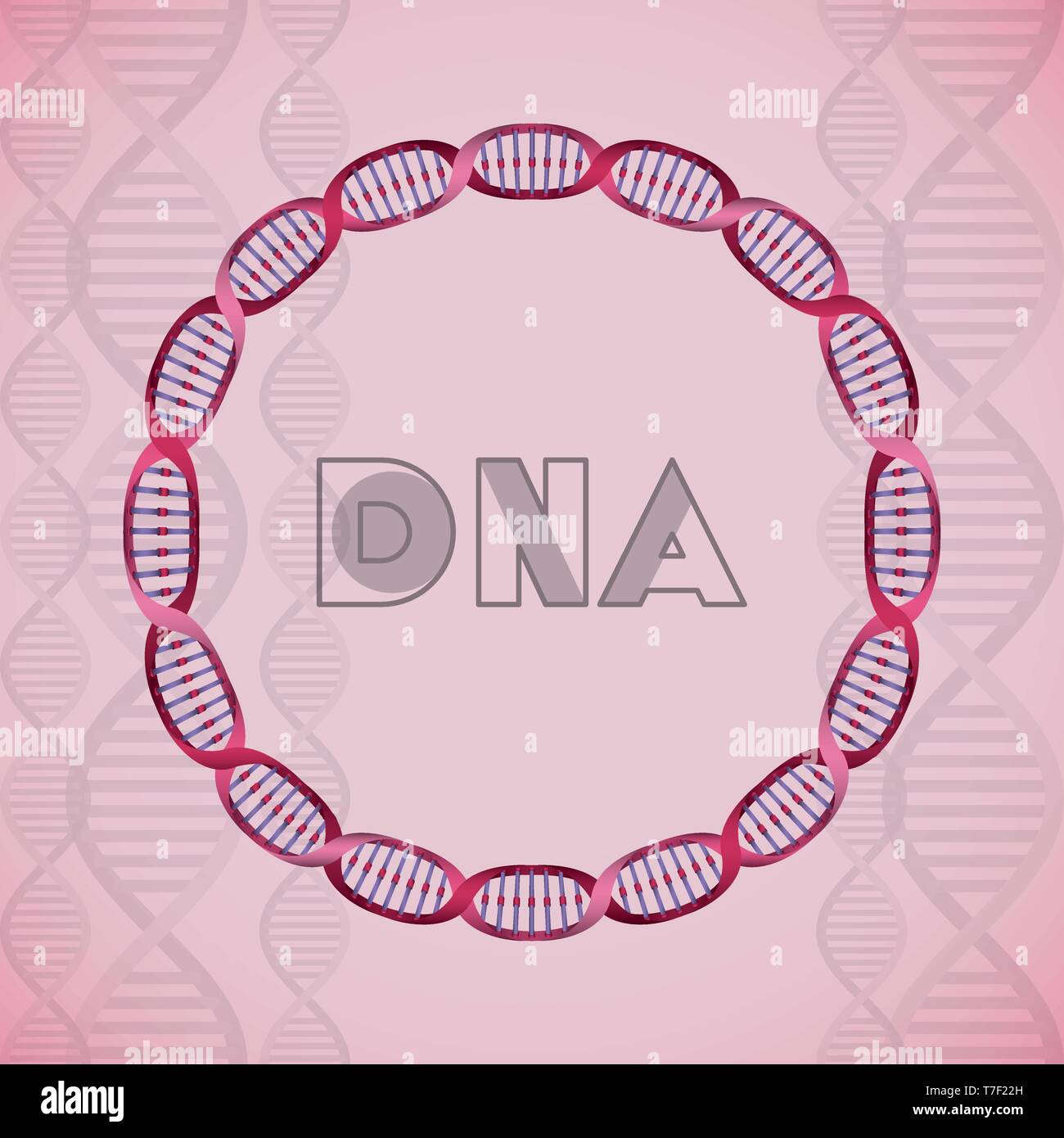 dna molecule circular structure Stock Vector Image & Art - Alamy