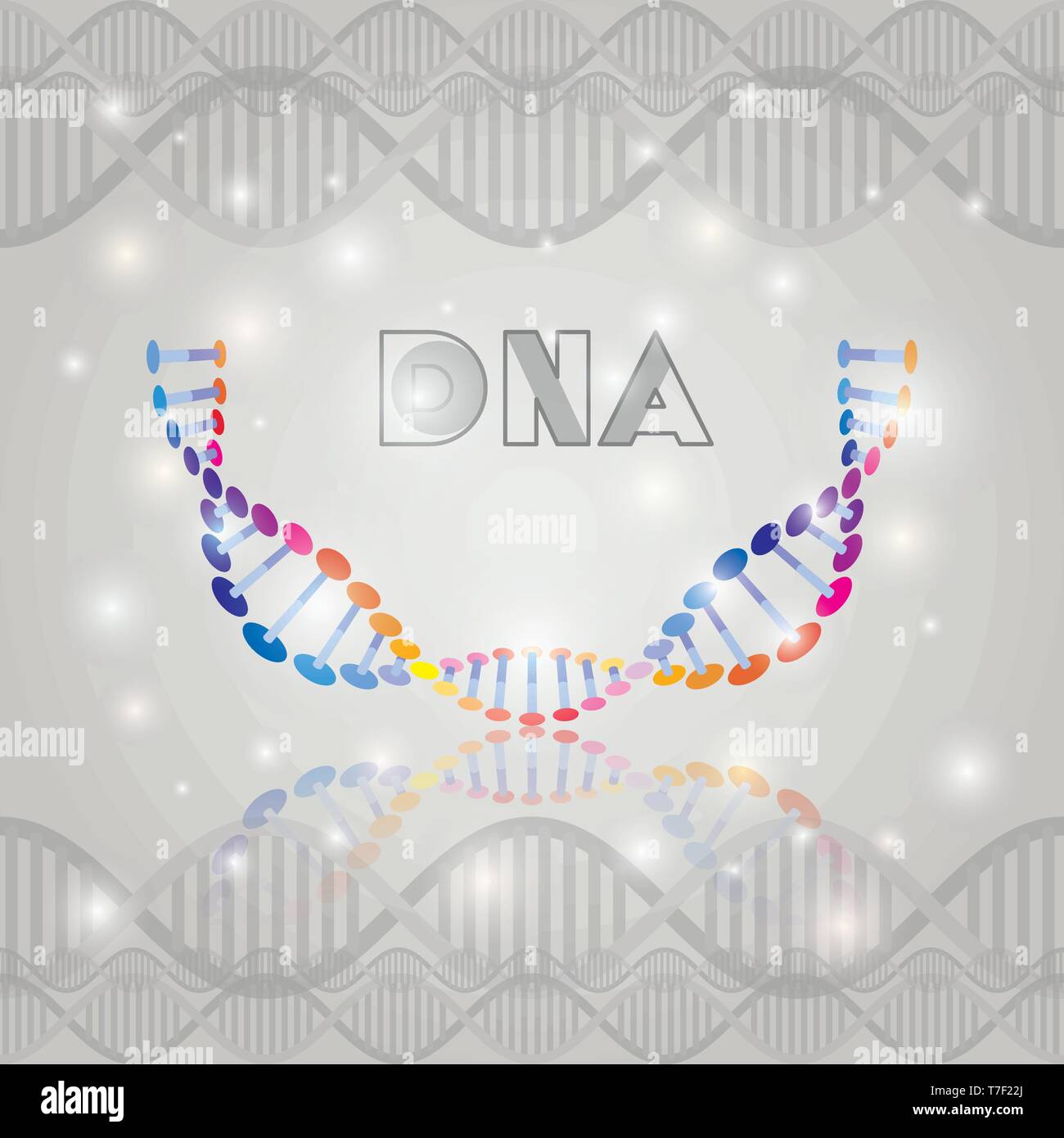 dna molecule half circle structure pattern Stock Vector Image & Art - Alamy