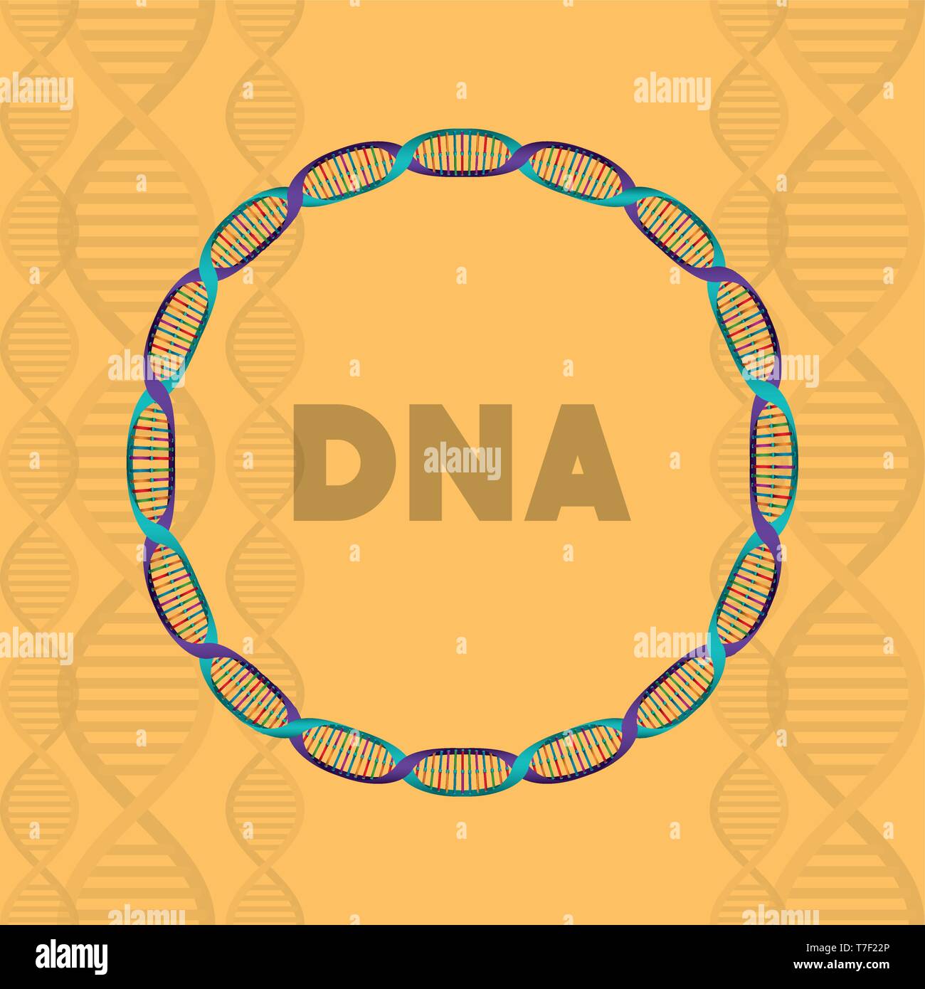 dna molecule circular structure Stock Vector Image & Art - Alamy