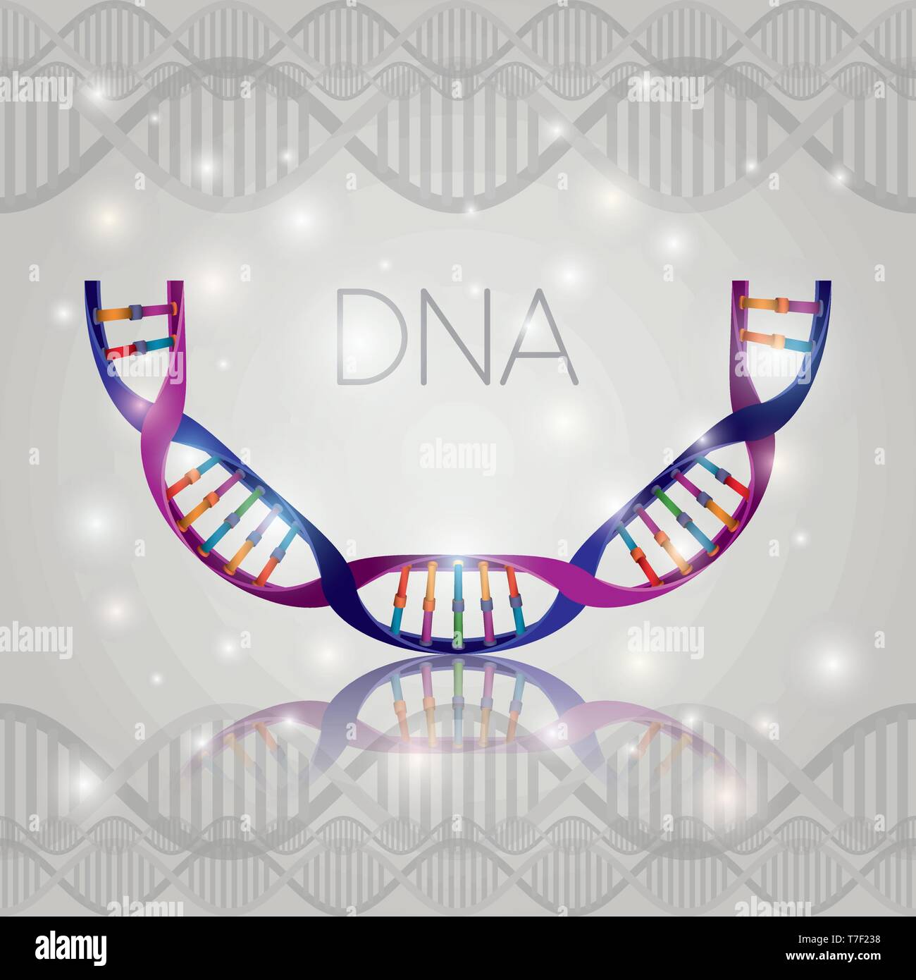 dna molecule half circle structure pattern Stock Vector Image & Art - Alamy