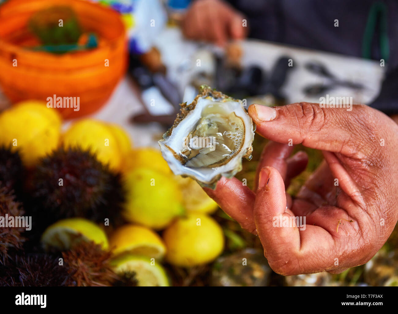 Real fish market and fresh fish, seafood from Atlantic ocean in Morocco ...