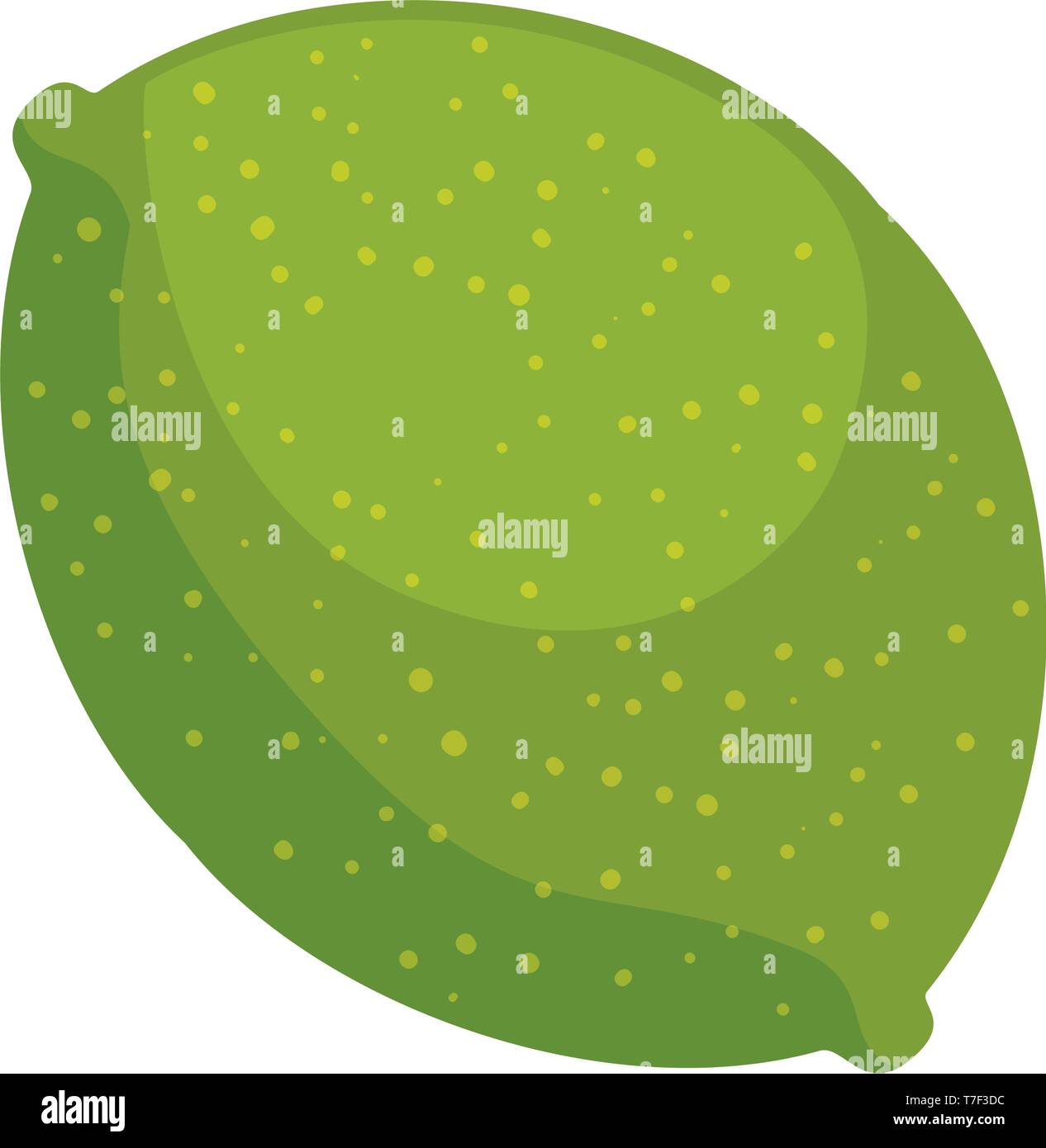 fresh lemon citrus fruit Stock Vector Image & Art - Alamy