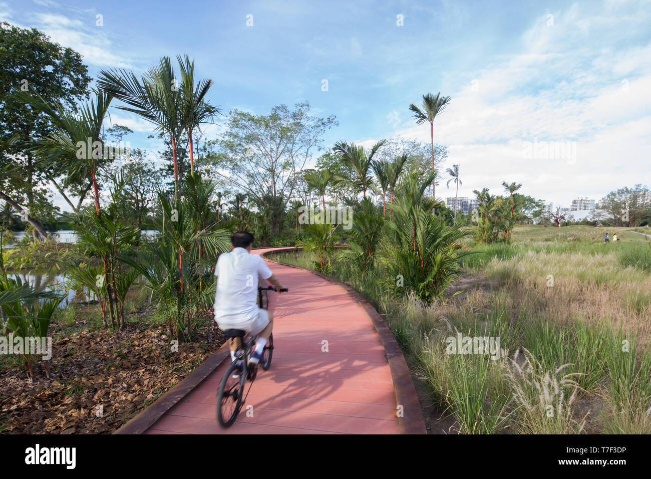 A man is cycling through Rasau Walk pavement at Jurong Lake Gardens ...