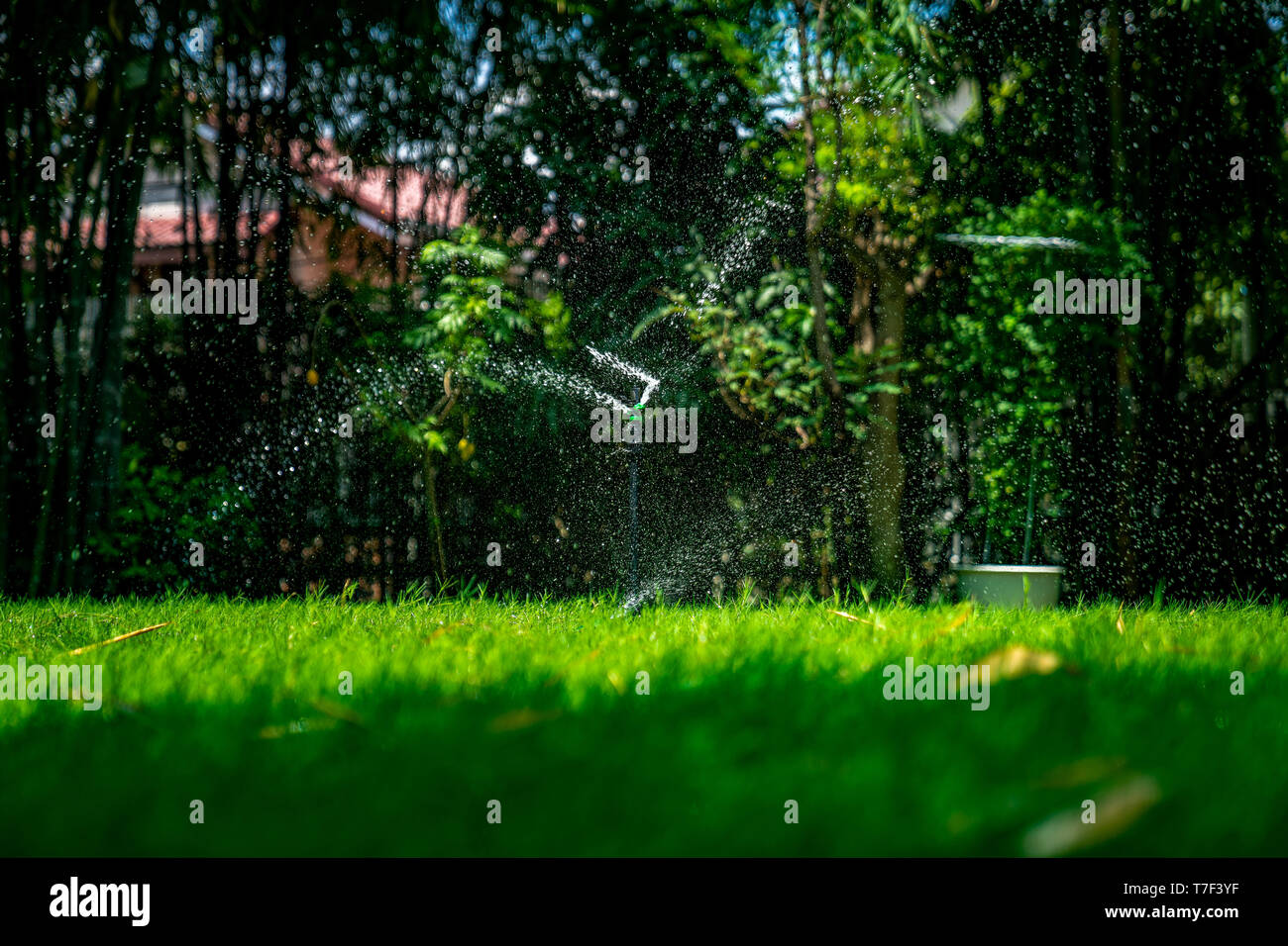 fresh water splash from the sprinkle pole settle in the grass feild in ...