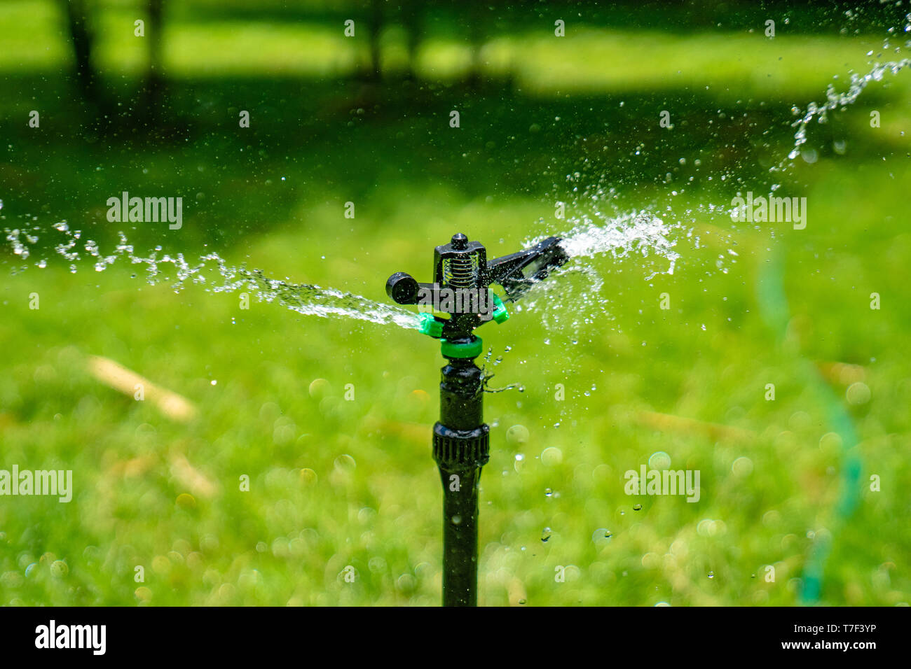 fresh water splash from the sprinkle pole settle in the grass feild in ...