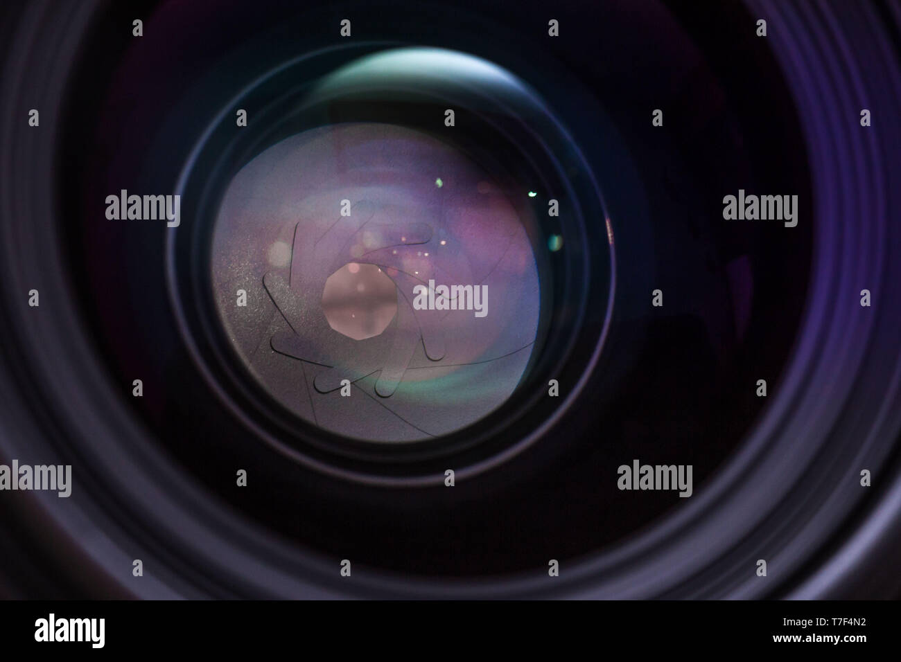 Set of various DSLR lenses with colorful reflections Stock Photo - Alamy