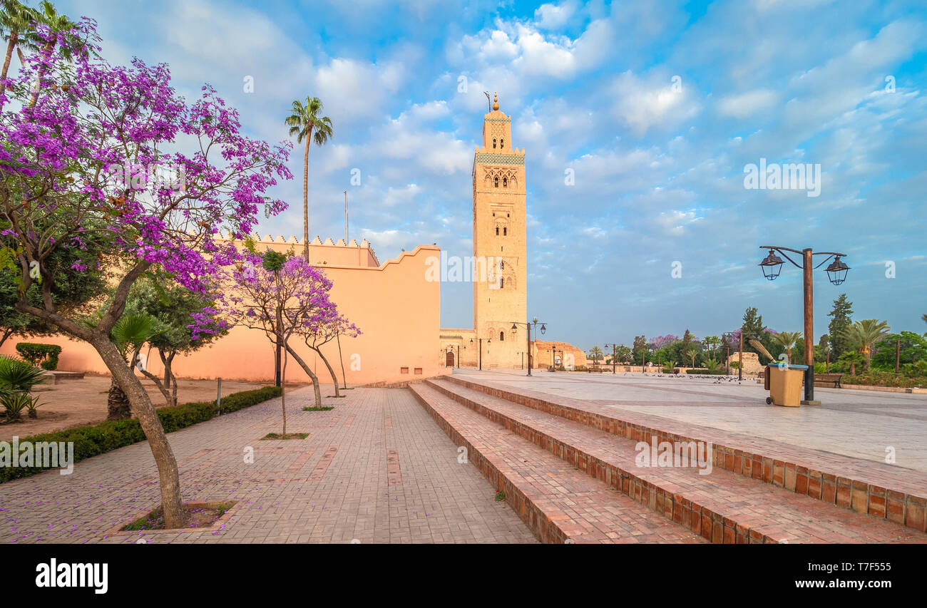 Medina quarter hi-res stock photography and images - Alamy