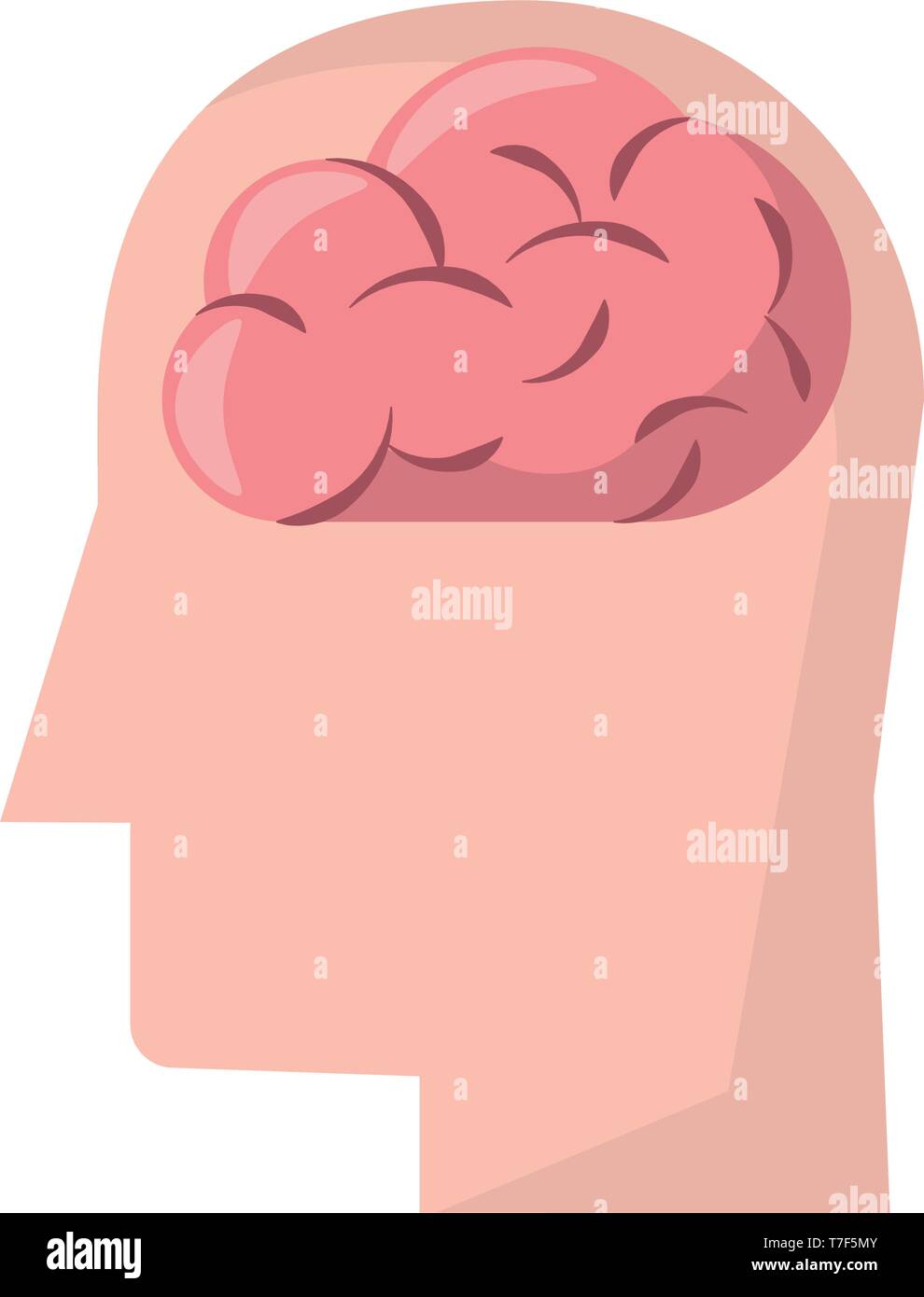 human brain cartoon Stock Vector Image & Art - Alamy