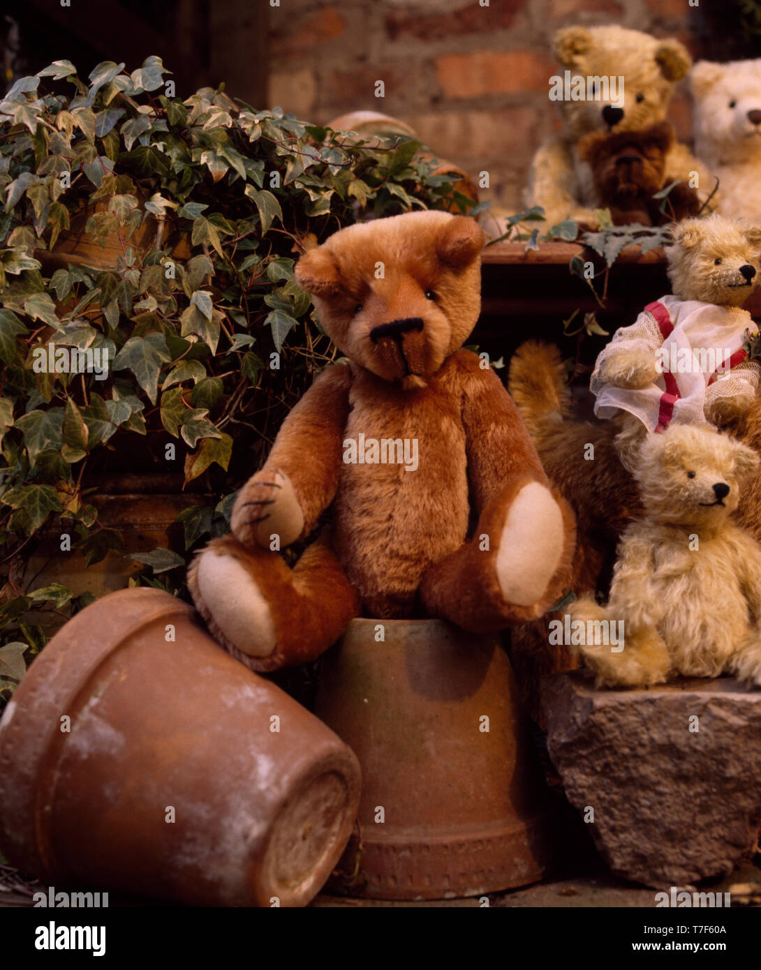 Collection teddy bears hi-res stock photography and images - Alamy