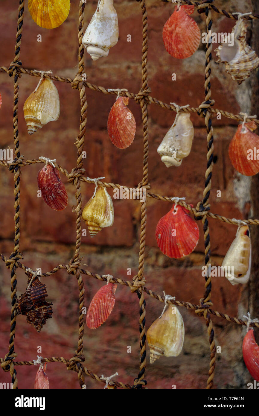 Sea shells attached on the fishing net texture template background ...