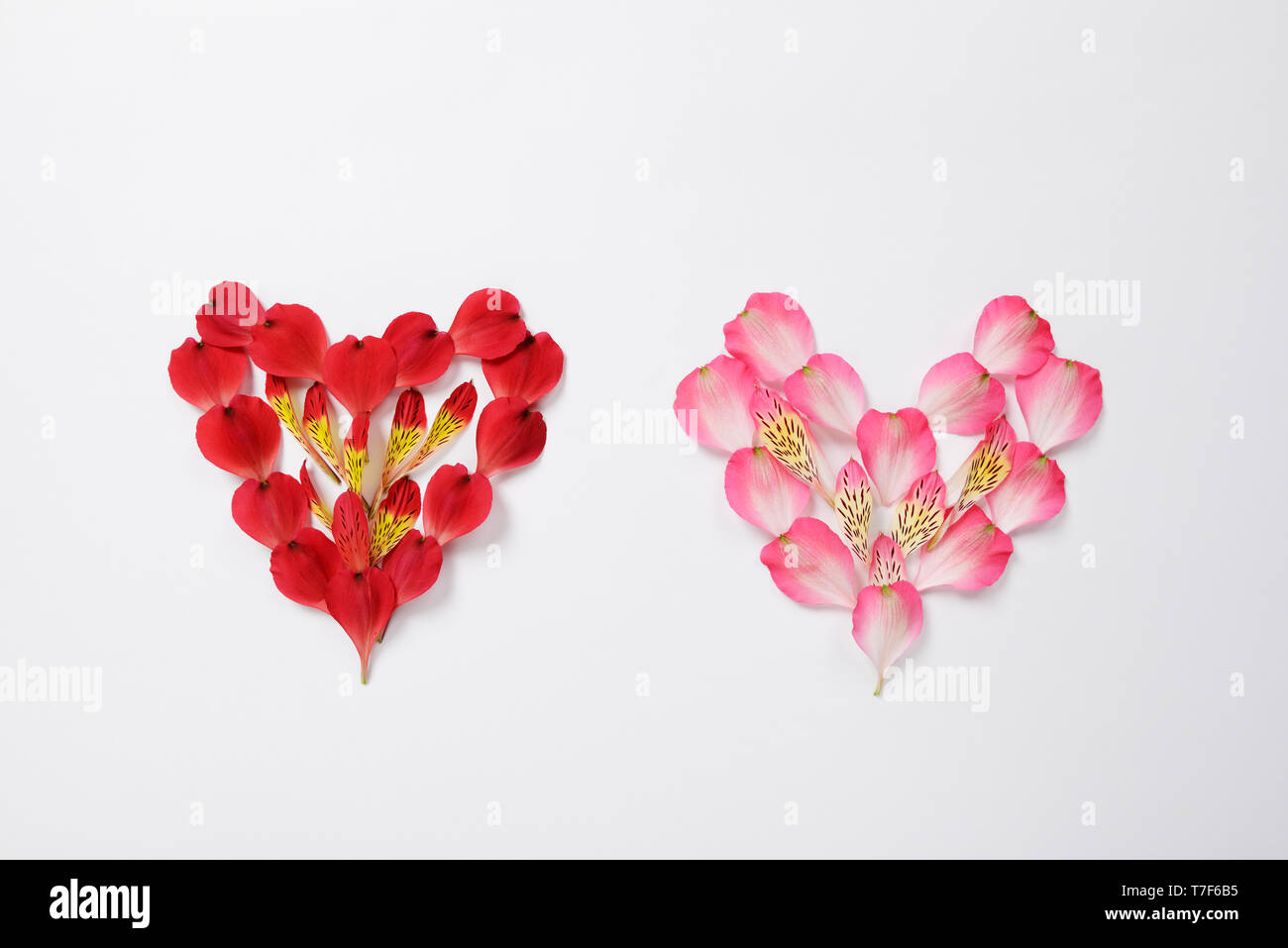 Shapes made of flowers hi-res stock photography and images - Alamy