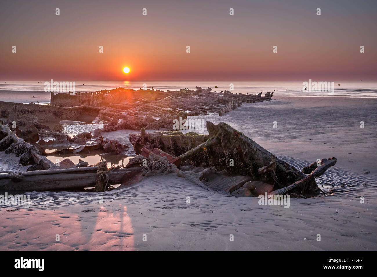 Crested eagle shipwreck hi-res stock photography and images - Alamy
