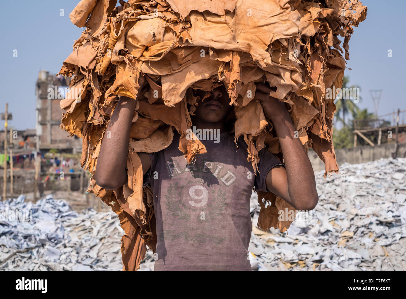 worker is seen as he carries pile of brown leather on his head in leather processing area ...