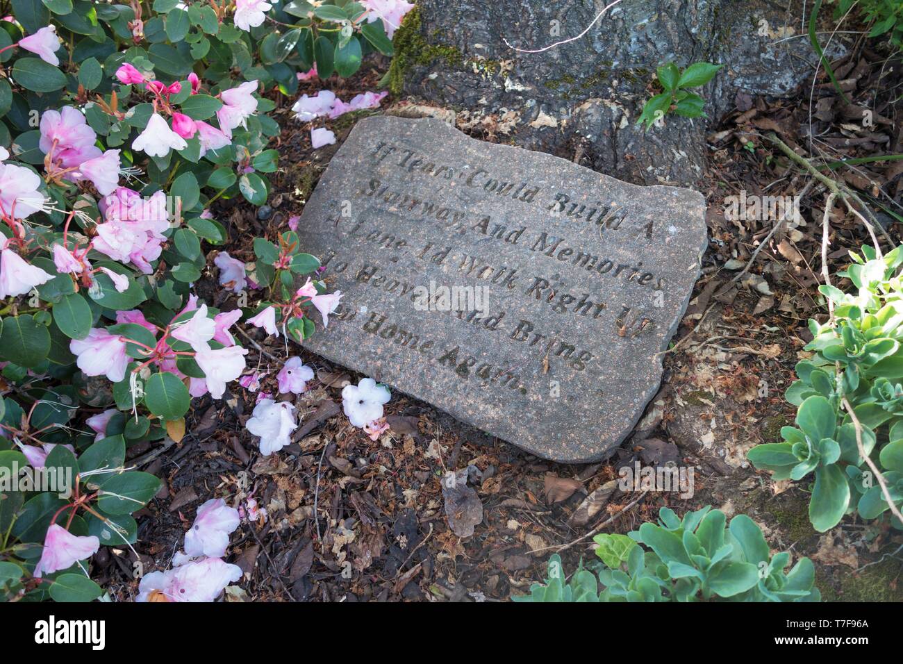 The MADD (Mother's Against Drunk Driving) garden, at Alton Baker Park ...