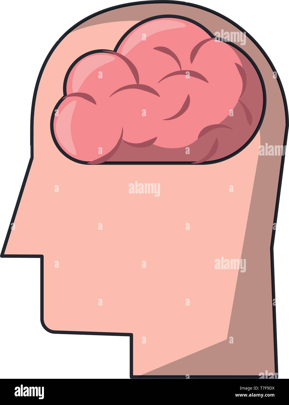 human brain cartoon Stock Vector Image & Art - Alamy