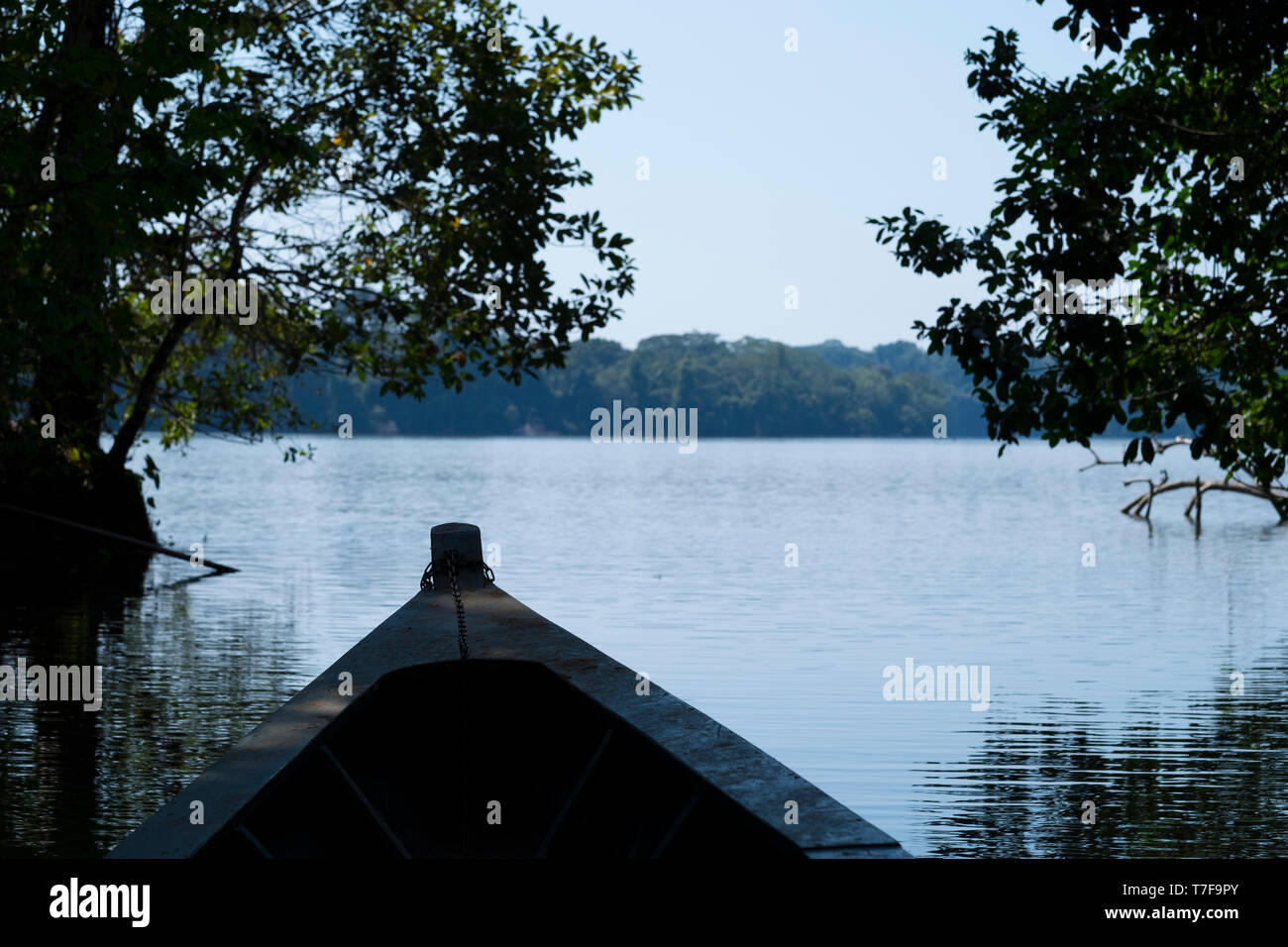 Boat reaching the quiet Lake Sandoval in Peruvian Amazon Basin, Peru ...