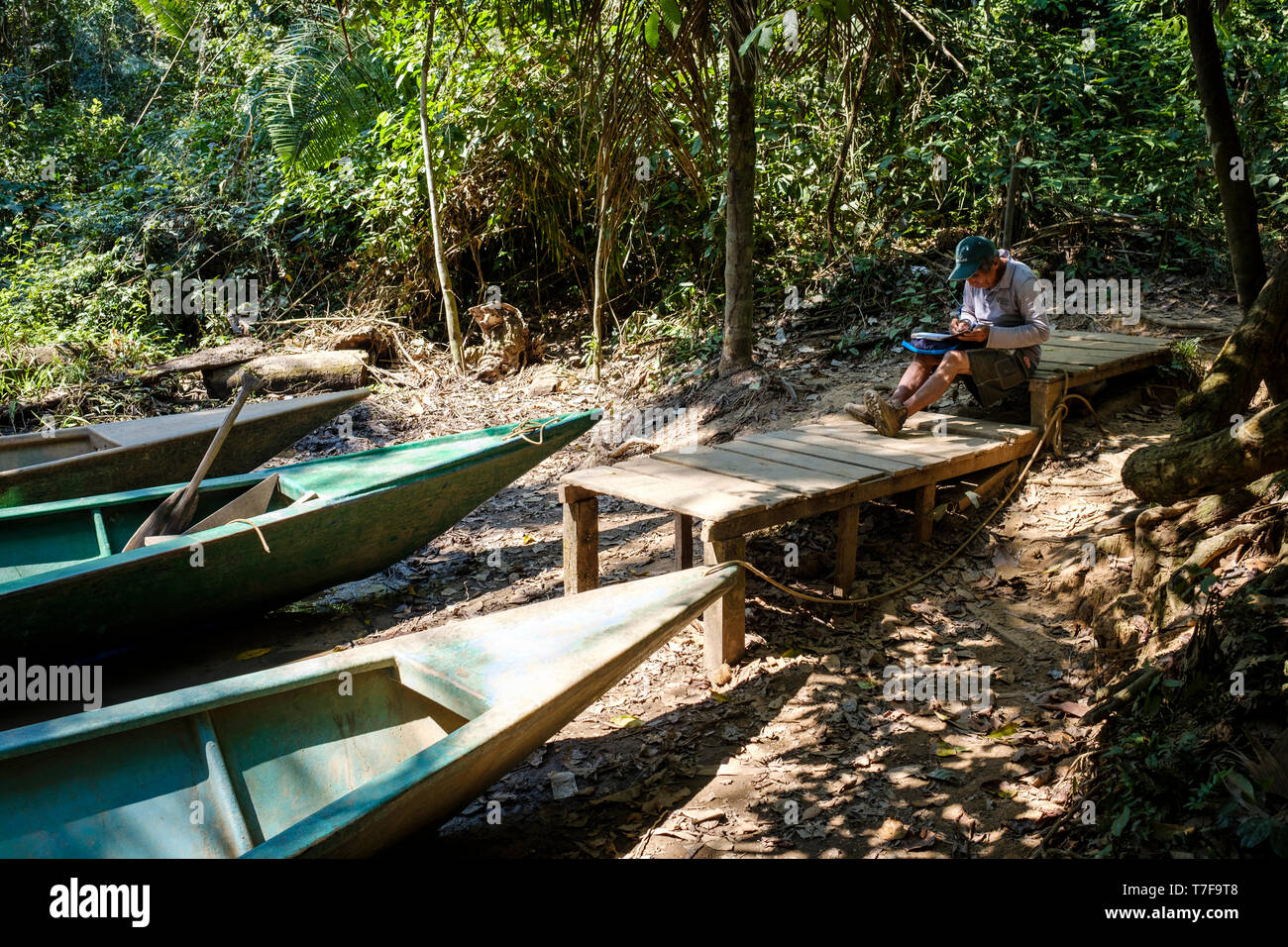 Boats through the mangroves to reach Lake Sandoval in Peruvian Amazon ...