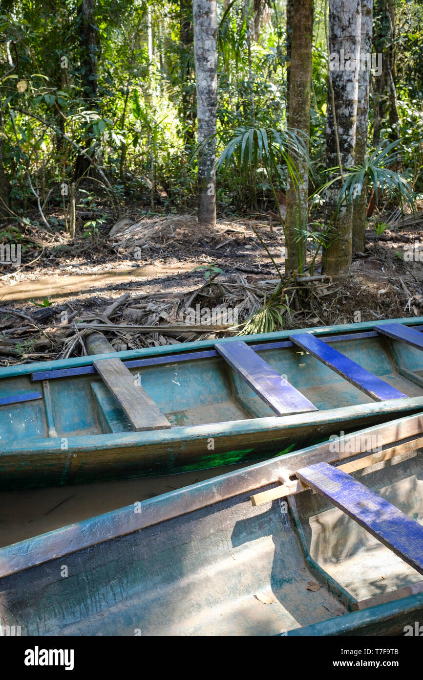 Boats through the mangroves to reach Lake Sandoval in Peruvian Amazon ...