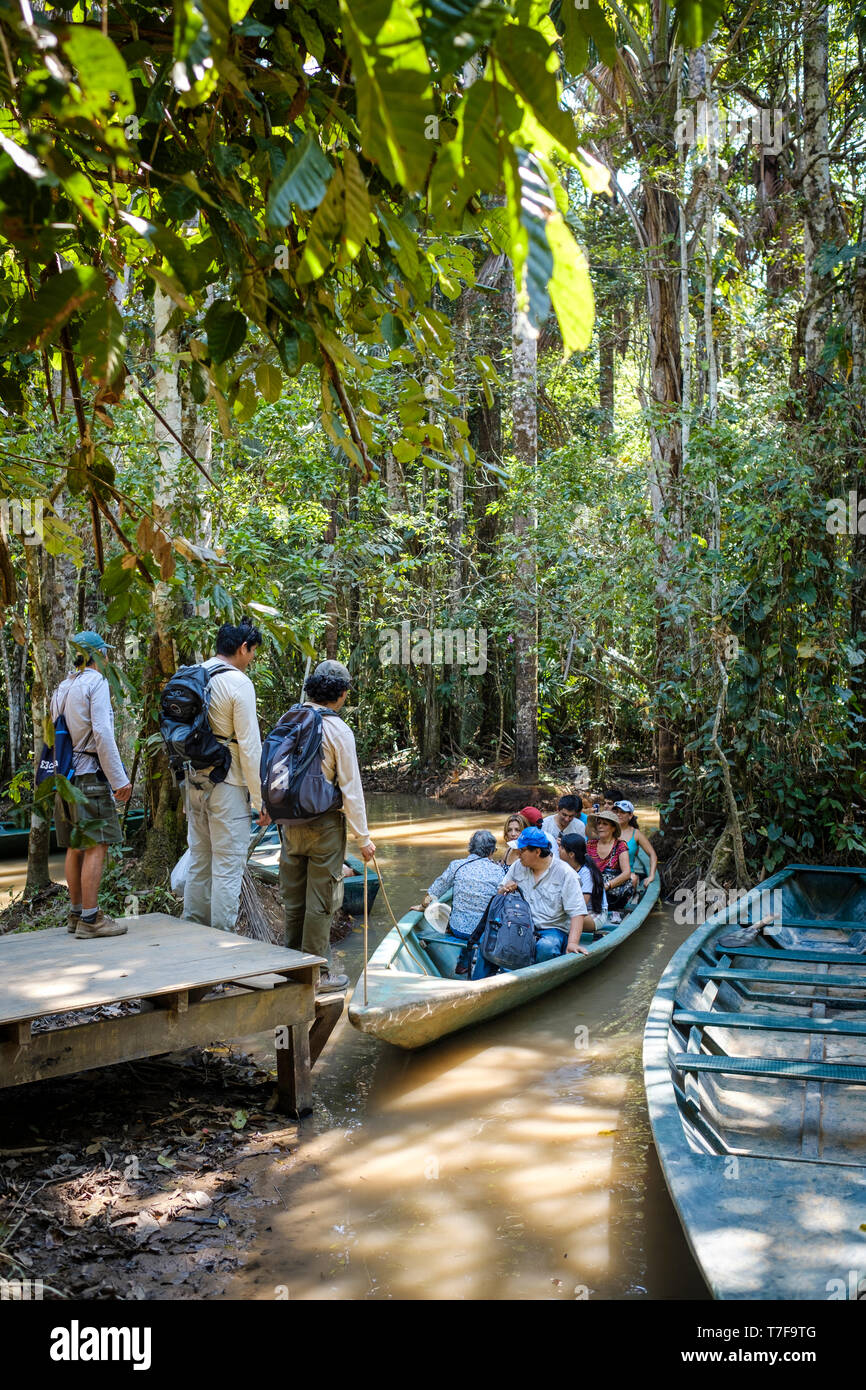 Boats through the mangroves to reach Lake Sandoval in Peruvian Amazon ...