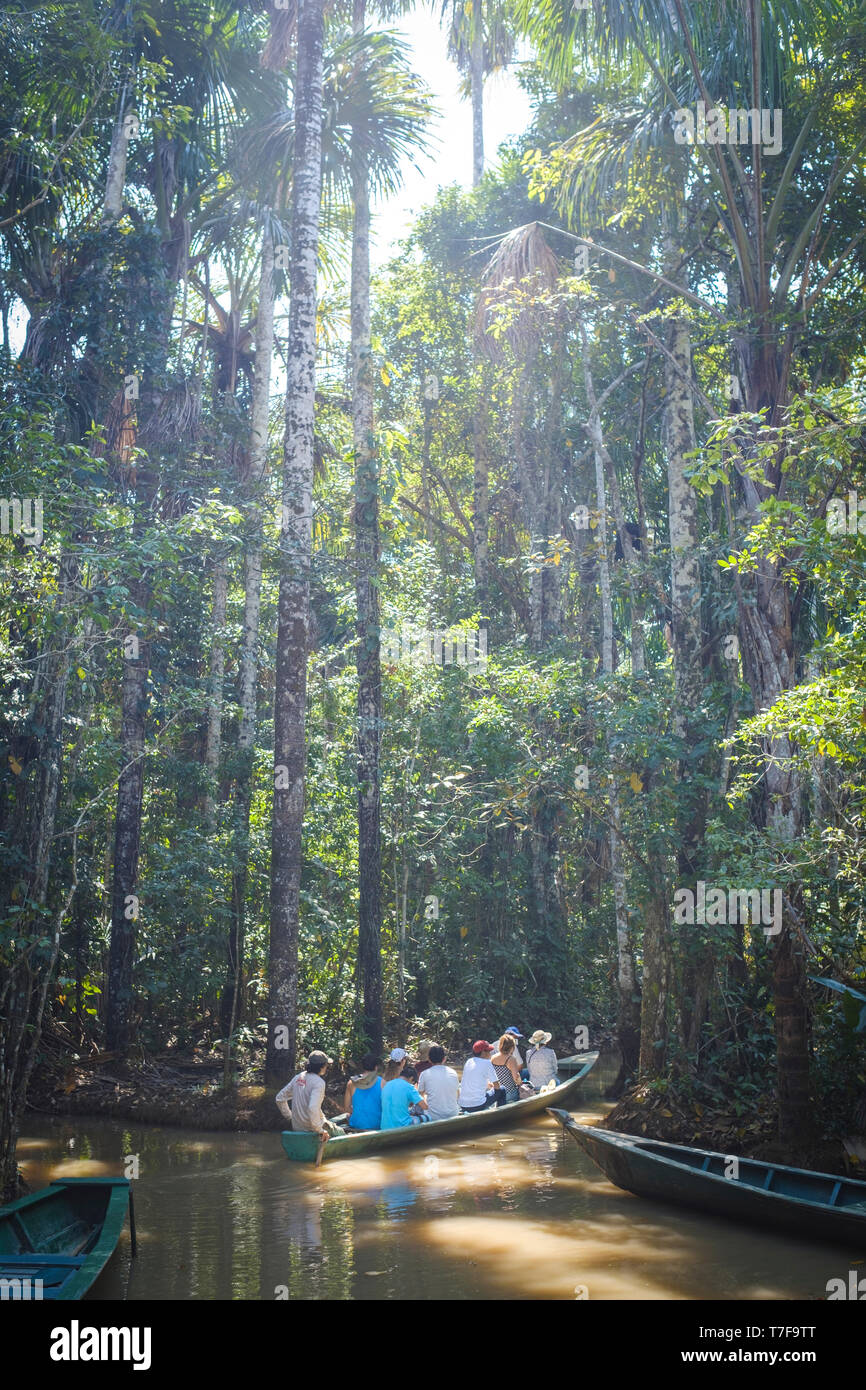 Boats through the mangroves to reach Lake Sandoval in Peruvian Amazon ...