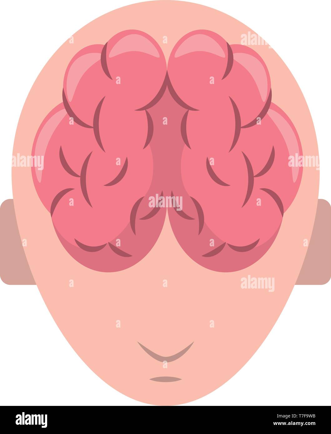 human brain cartoon Stock Vector Image & Art - Alamy