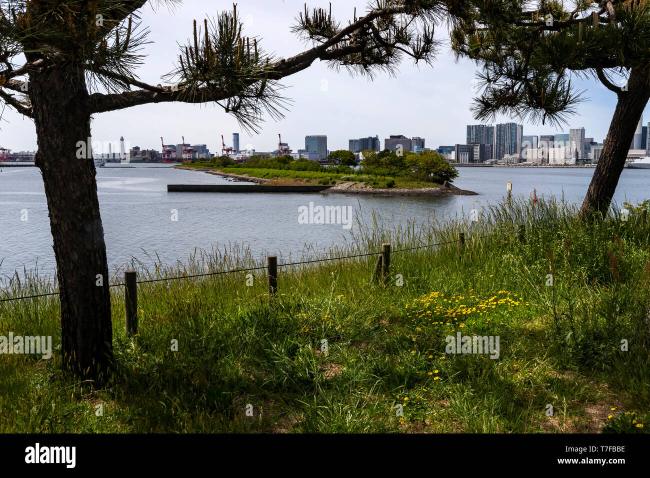 Admiral Matthew Perry appeared in Tokyo Bay in 1853 during the closing ...
