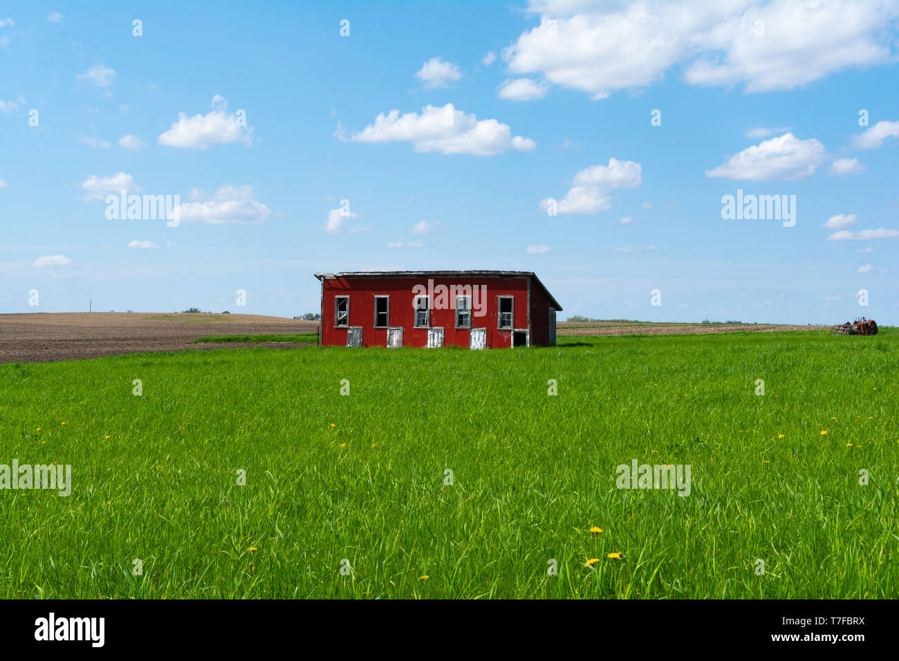 Wooden red farm building in open grass field on a Spring afternoon ...
