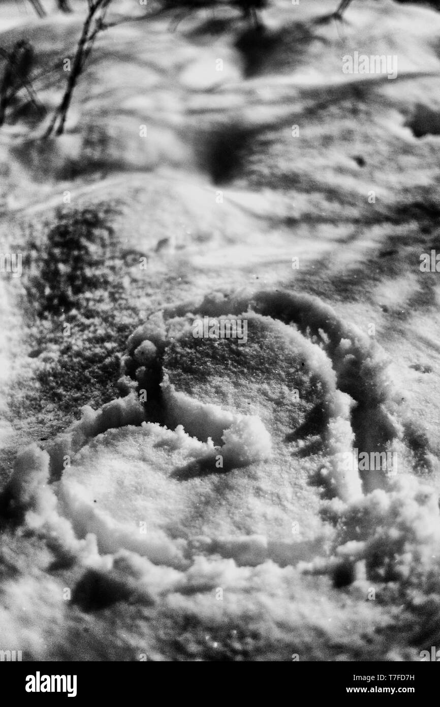 Beautiful illustration heart symbol Black and White Stock Photos ...