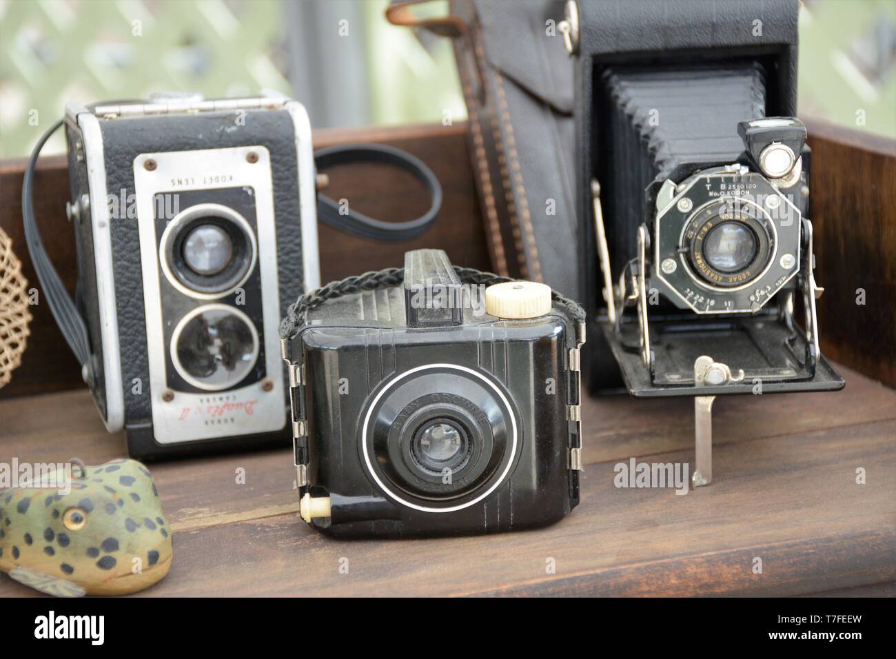 older plastic and paper cameras for sale for collections Stock Photo ...