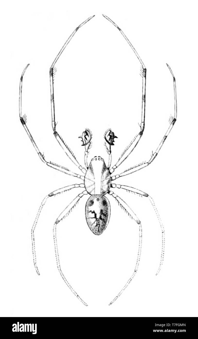 Historia simon hi-res stock photography and images - Alamy