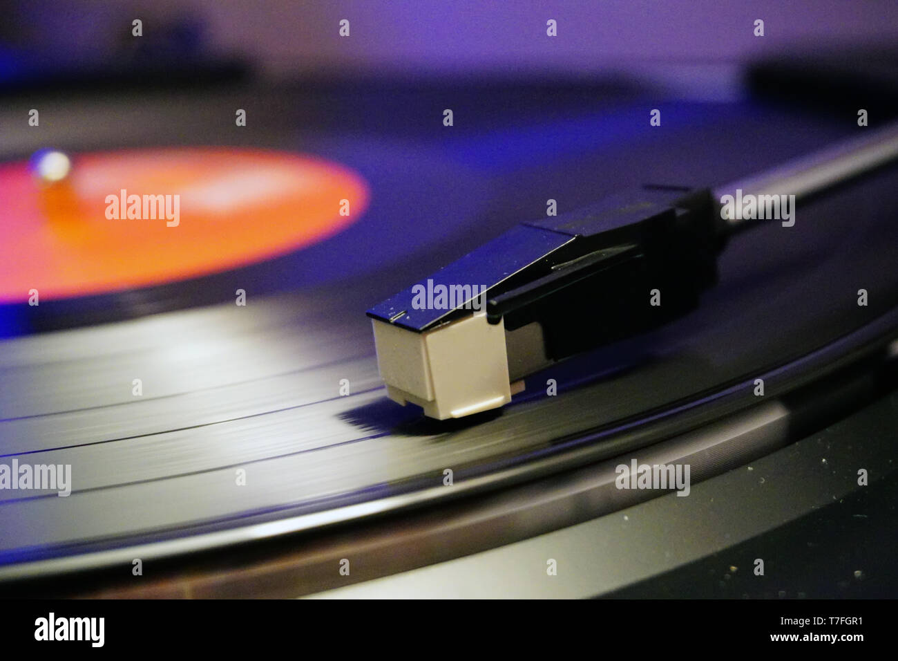 Stylus needle on the vinyl close up view Stock Photo - Alamy