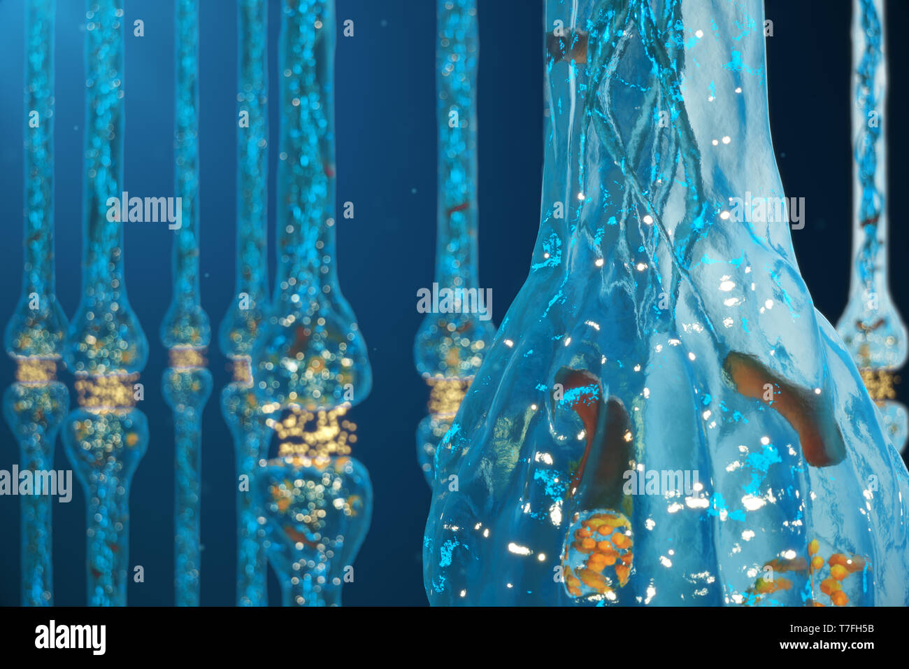 Synaptic transmission, human nervous system. Concept consciousness ...