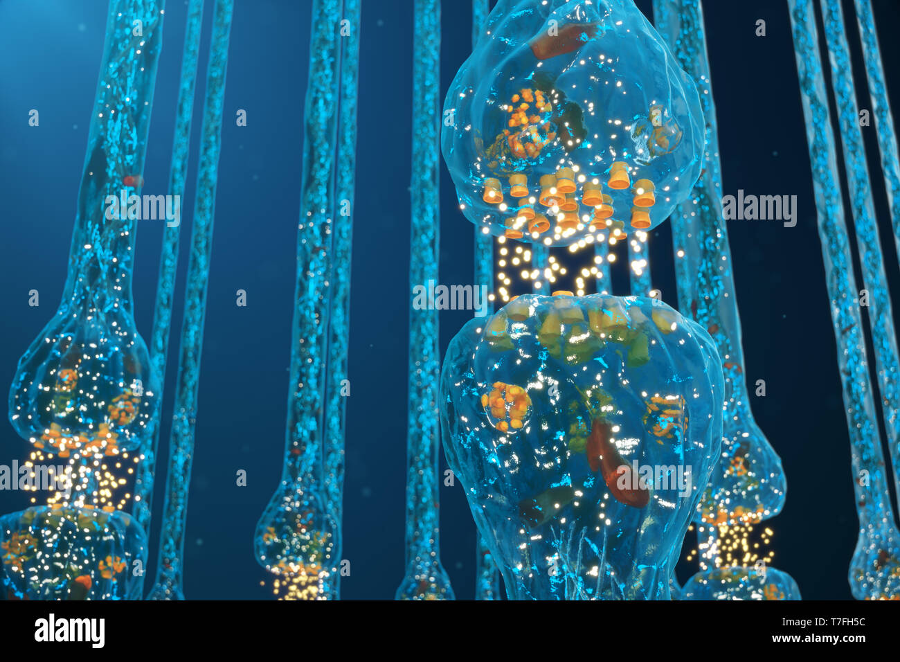 Synaptic transmission, nervous system receptors. Concept consciousness ...