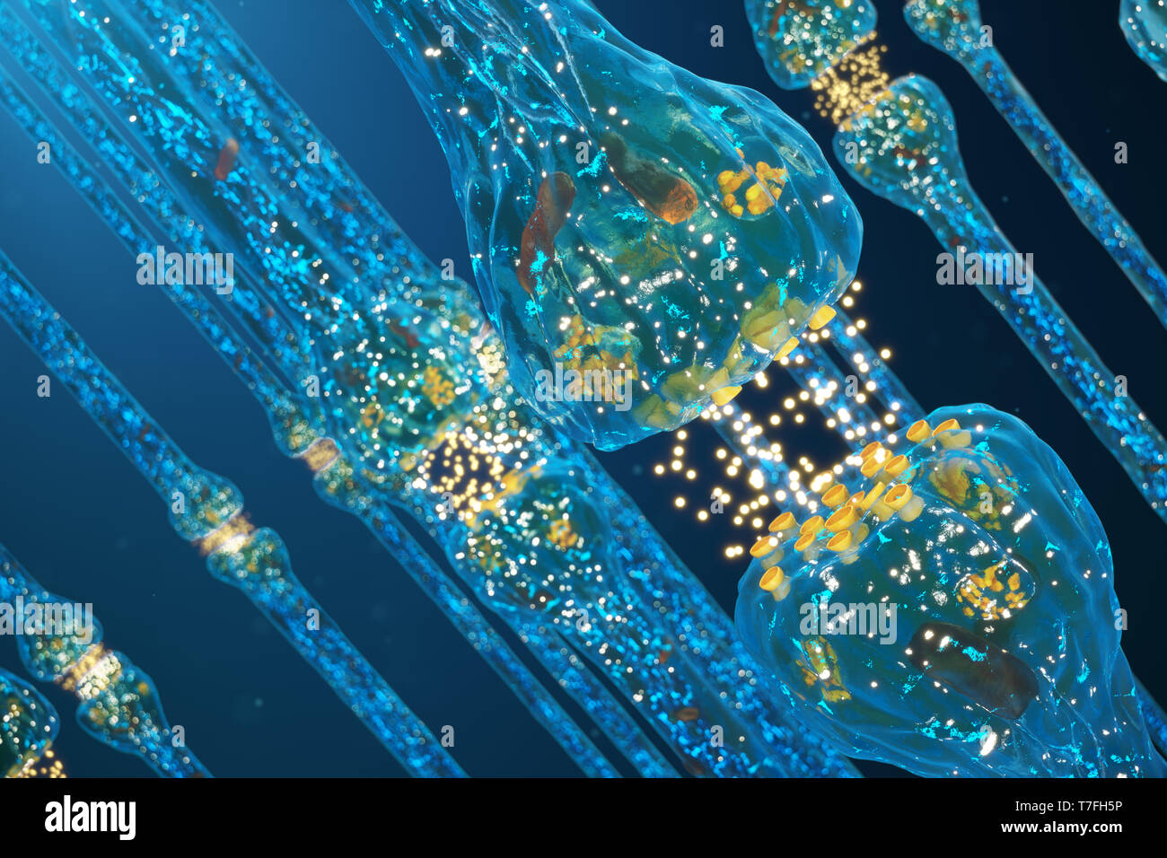 Synaptic transmission, human nervous system. Concept consciousness ...
