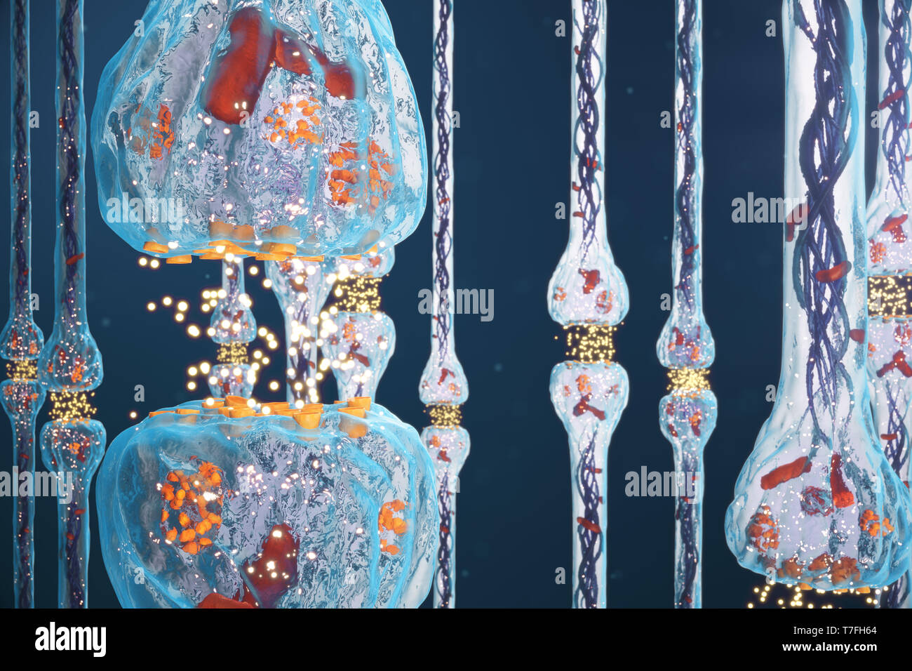 Synaptic transmission, human nervous system. Concept consciousness ...