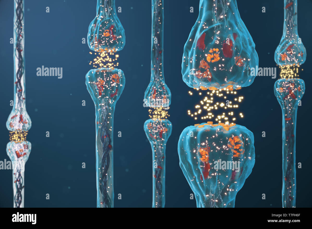 Synaptic transmission, human nervous system. Concept consciousness ...