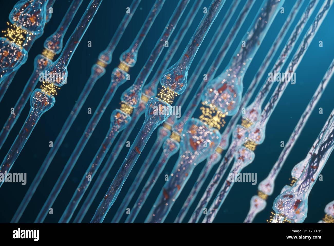 Synaptic transmission, human nervous system. Concept consciousness ...