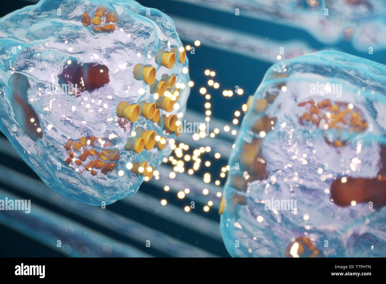 Synaptic transmission, human nervous system. Concept consciousness ...