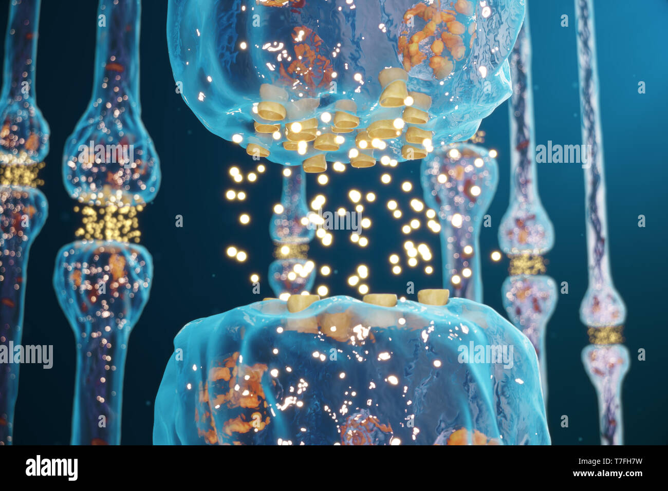 Synaptic transmission, human nervous system. Concept consciousness ...