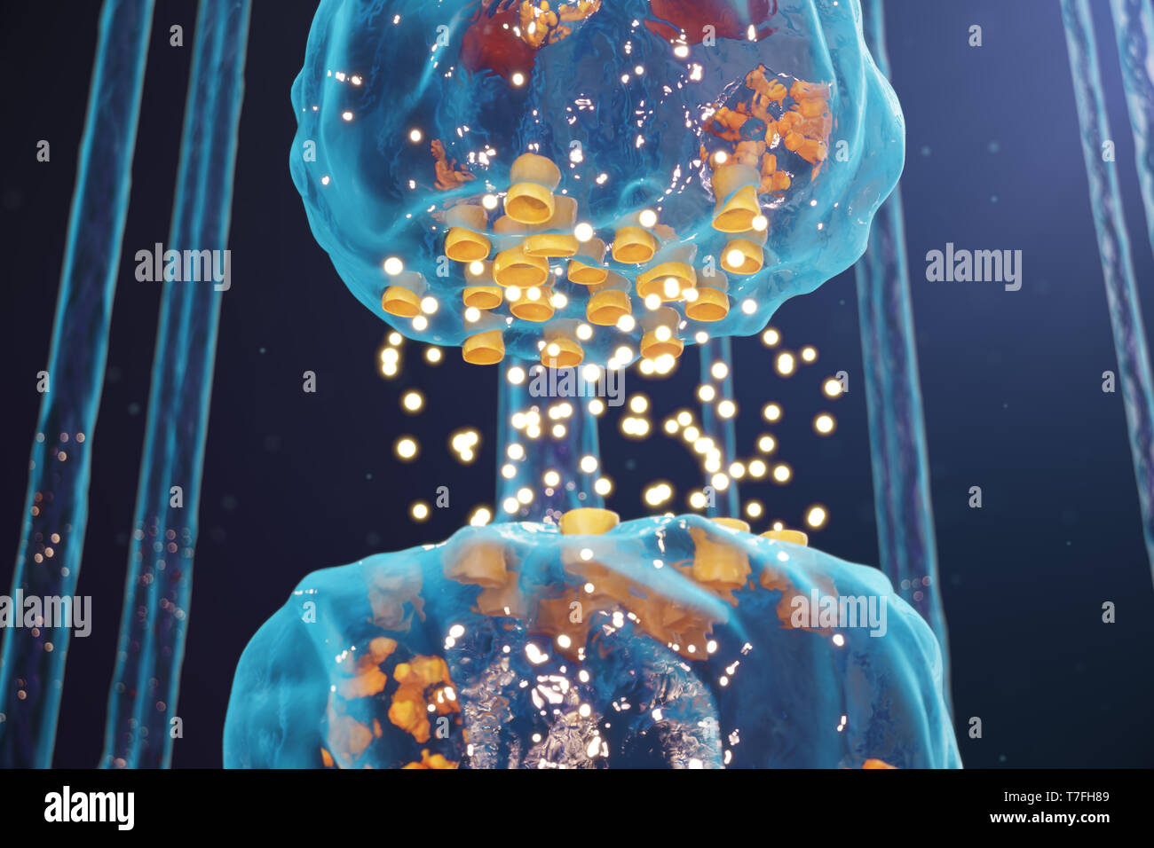 Synaptic transmission, human nervous system. Concept consciousness ...