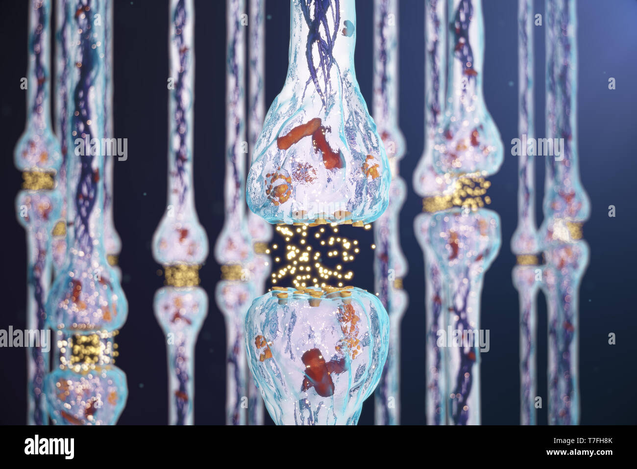 Synaptic transmission, nervous system receptors. Concept consciousness ...