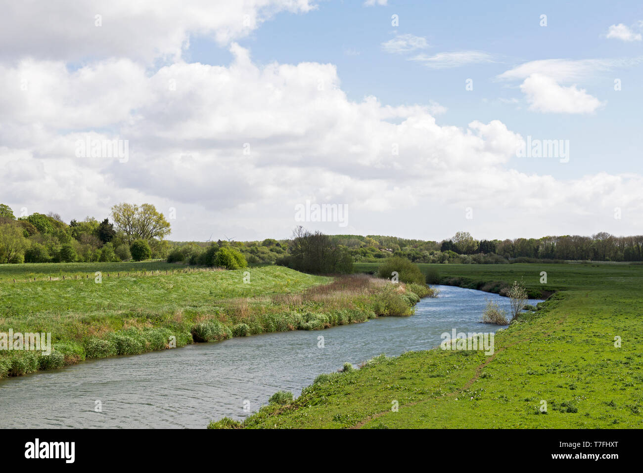 The River Derwent at Bubwith, East Yorkshire, England UK Stock Photo ...
