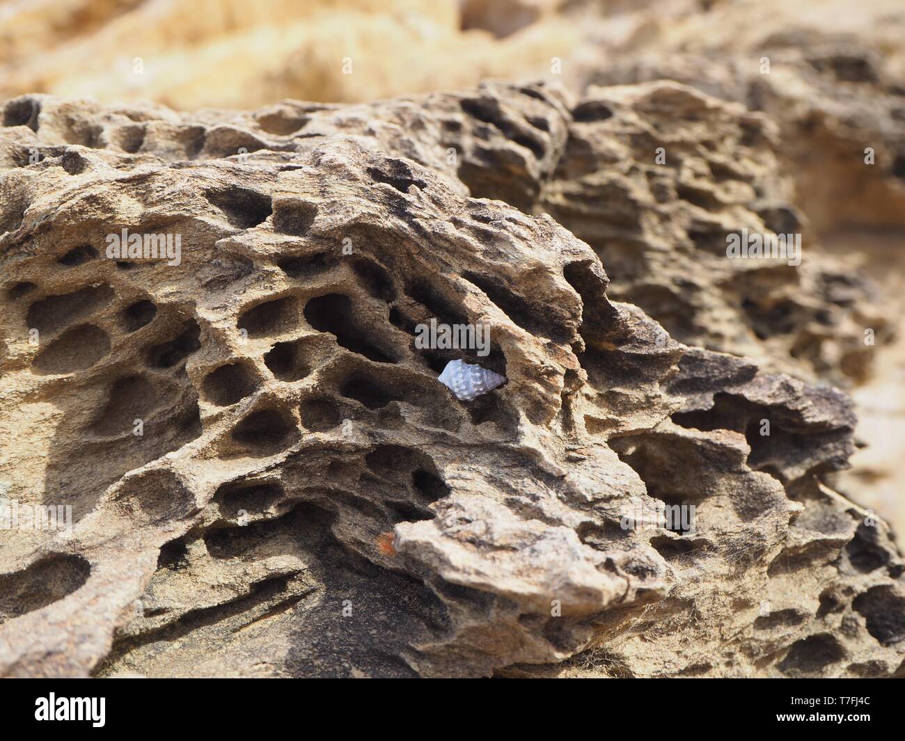 Australian nature hi-res stock photography and images - Alamy