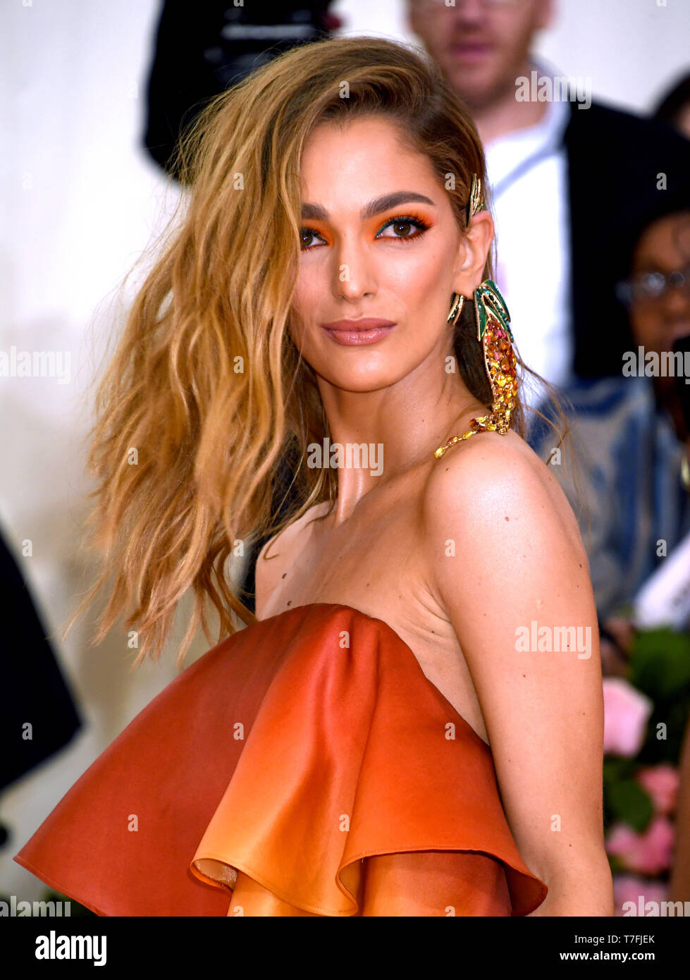Sofia Sanchez Barrenechea attending the Metropolitan Museum of Art ...